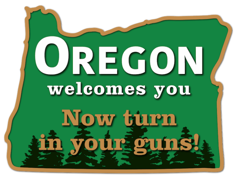 Oregon Supreme Court Hears Measure 114 Gun Law Case