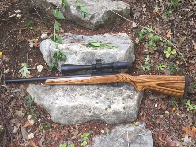 Gun Review: Ruger 10/22 Target Rifle - The Truth About Guns