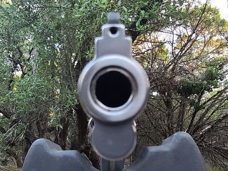 Gun Review: The 2021 Colt Anaconda in .44 Remington Magnum - The Truth ...