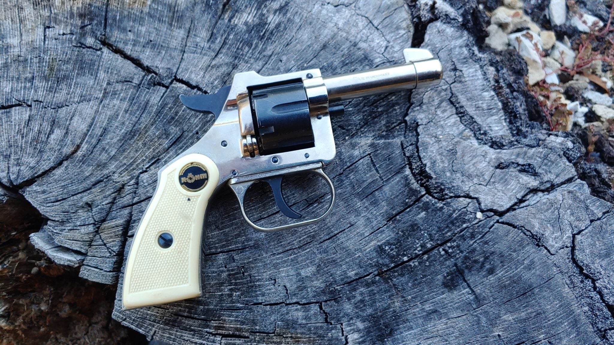 Obscure Object of Desire: Rohm RG10 Rimfire Revolver - The Truth About Guns