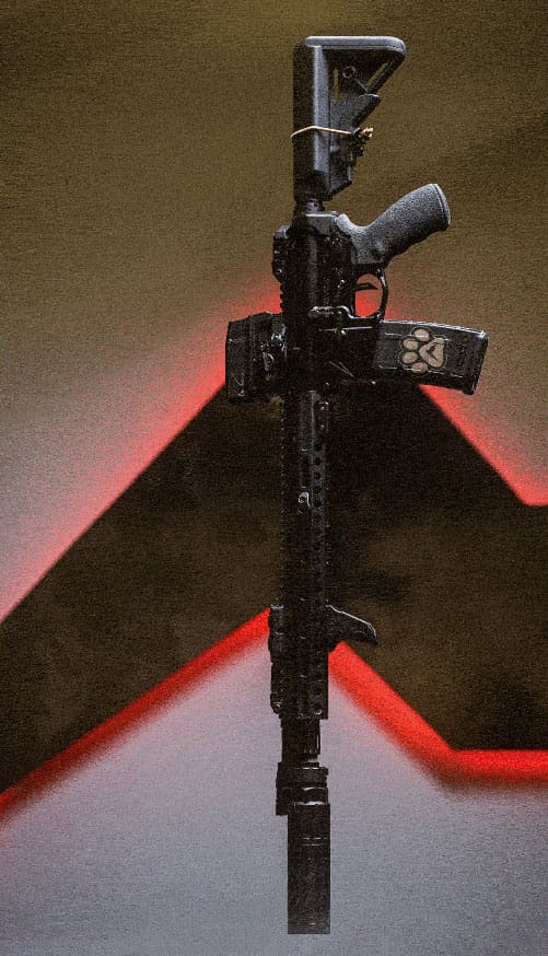 Rainier Arms RUC Rifle DI Urban Combat Build Released