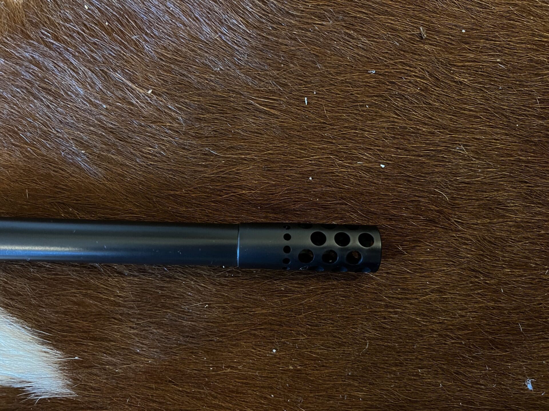 Gun Review: Blaser R8 Ultimate Carbon Hunting Rifle - The Truth About Guns