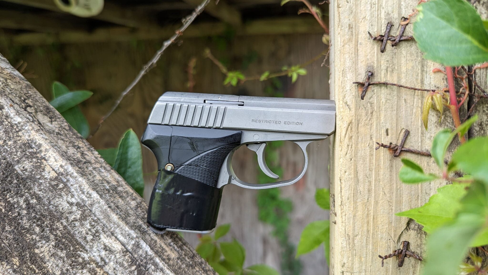 Obscure Object of Desire: Seecamp LWS 25 Restricted Edition Pistol ...