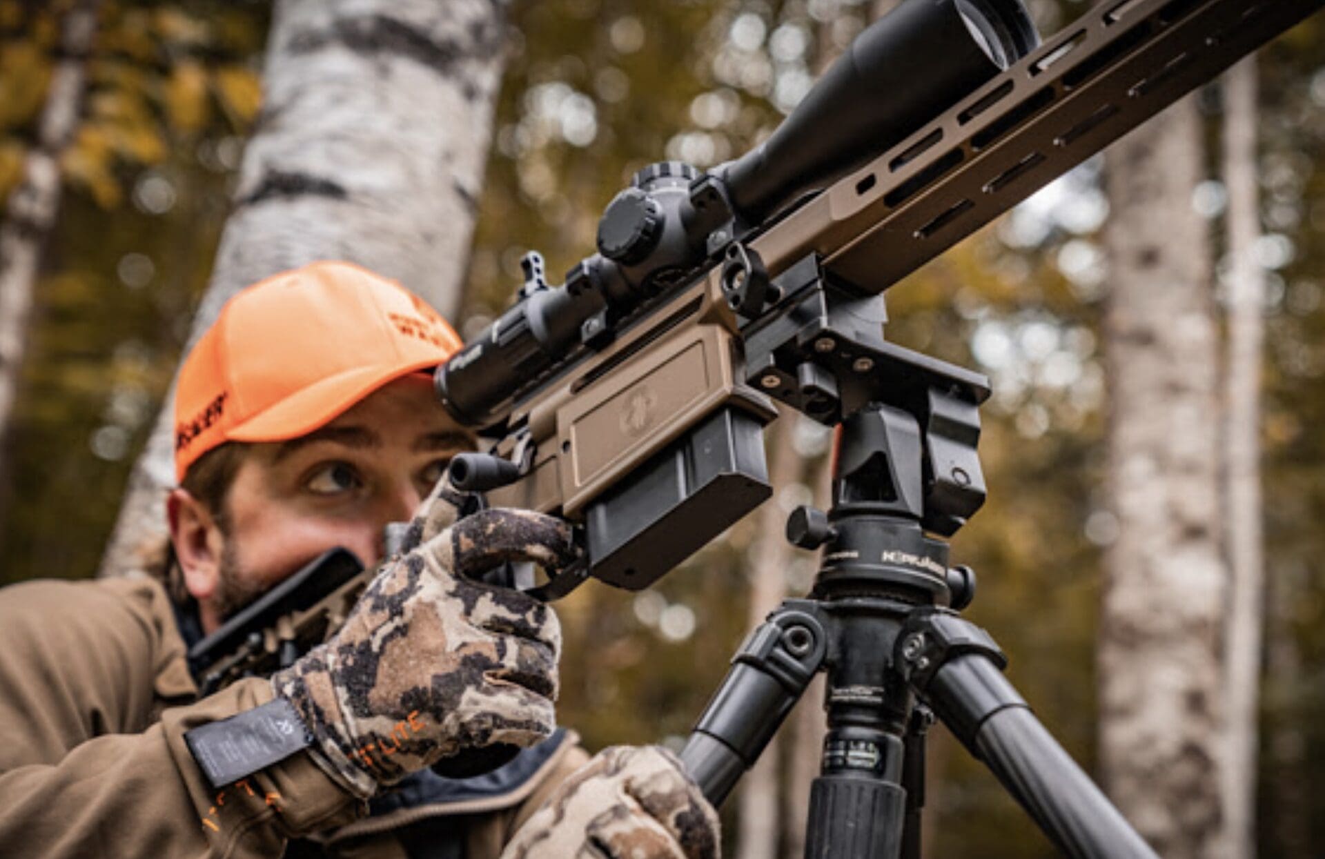 SIG SAUER Expands its Cross Hunting Rifle Line With the New Cross ...